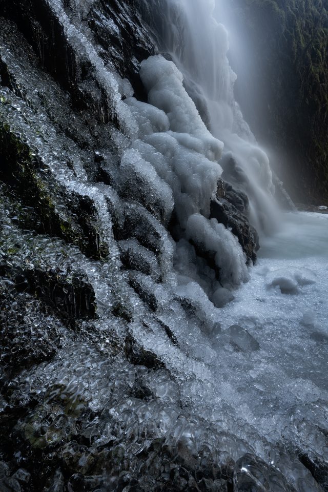 Inspired by nature – Canadian Imaging Conference & Expo
